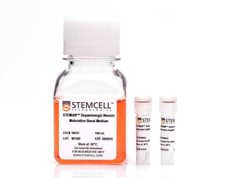 STEMdiff Midbrain Neuron Differentiation Kit | 製品情報 | ベリタス